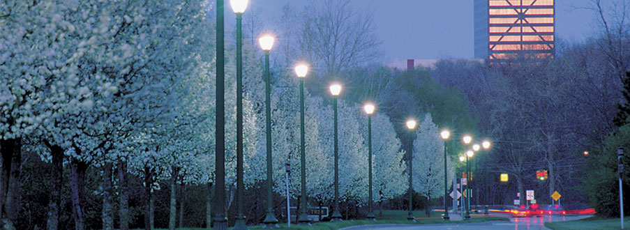 tree_header – Southfield Public Library